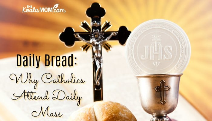 Daily Bread: Why Catholics Attend Daily Mass • The Koala Mom