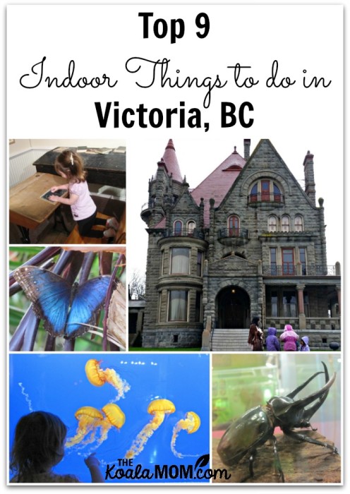 Top 9 Indoor Things to do in Victoria, BC • The Koala Mom