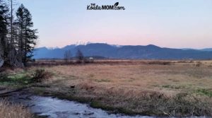 Hiking Minnekhada Regional Park • The Koala Mom