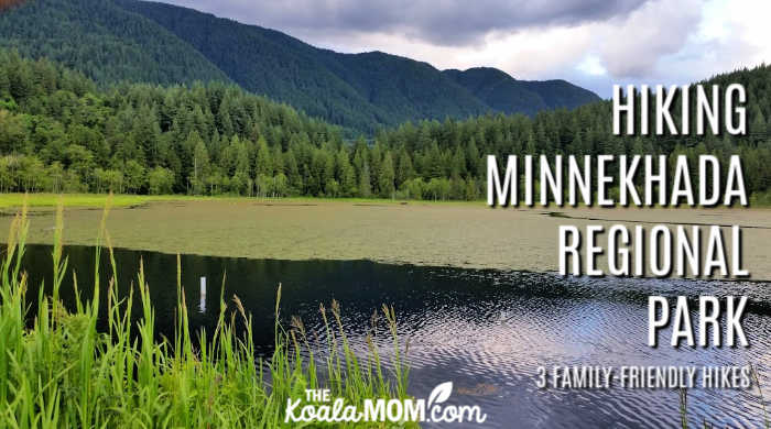 Hiking Minnekhada Regional Park • The Koala Mom