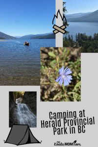 Camping at Herald Provincial Park with Grandma! • The Koala Mom