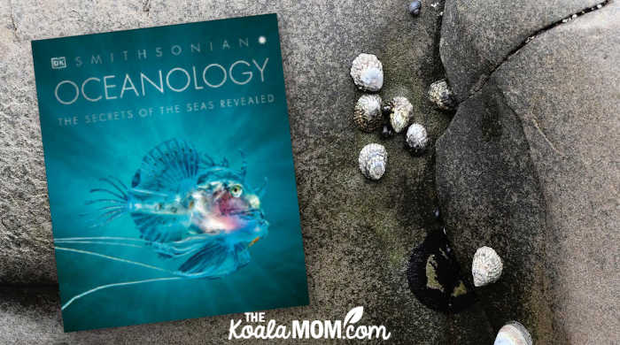 Oceanology: The Secrets of the Seas Revealed • The Koala Mom