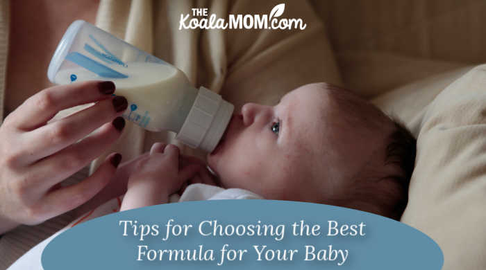 Tips for Choosing the Best Formula for Your Baby • The Koala Mom