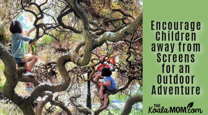Encourage Children away from Screens for an Outdoor Adventure • TKM