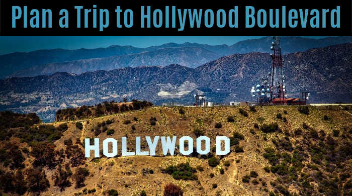 Plan a Trip to Hollywood Boulevard: Attractions You Can't Miss • TKM