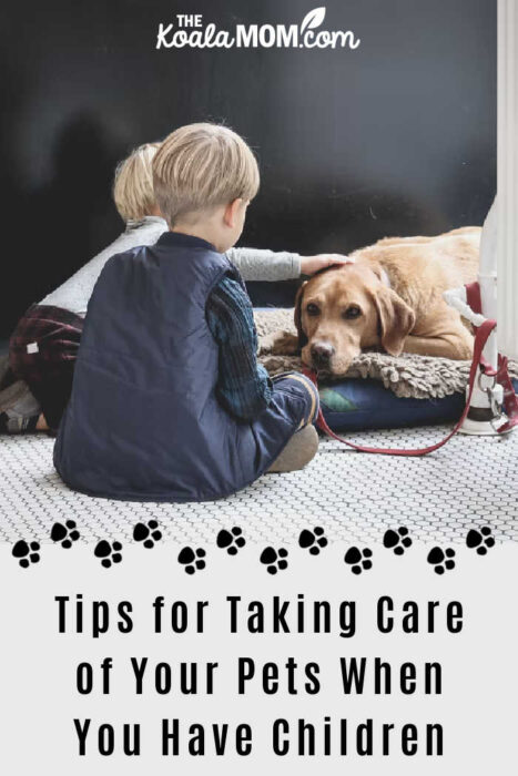 Tips for Taking Care of Pets When You Have Children • The Koala Mom