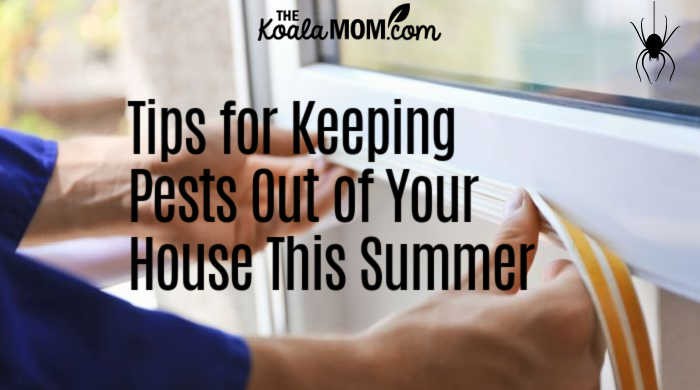 Tips for Keeping Pests Out of Your House This Summer • The Koala Mom