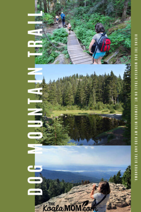 Dog Mountain Trail on Mount Seymour • The Koala Mom