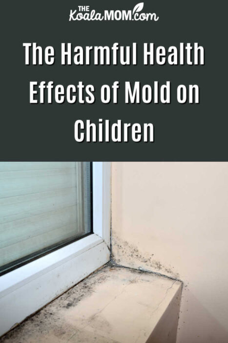The Harmful Health Effects of Mold on Children • The Koala Mom